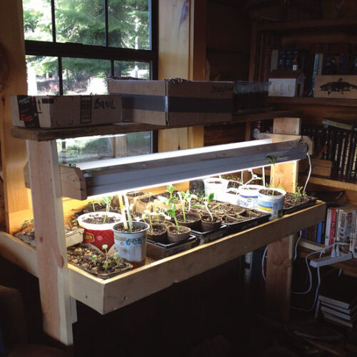 12 Easy DIY Seed Starting System Ideas – Mother Earth News